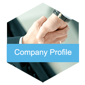 Company Profile Icon Png